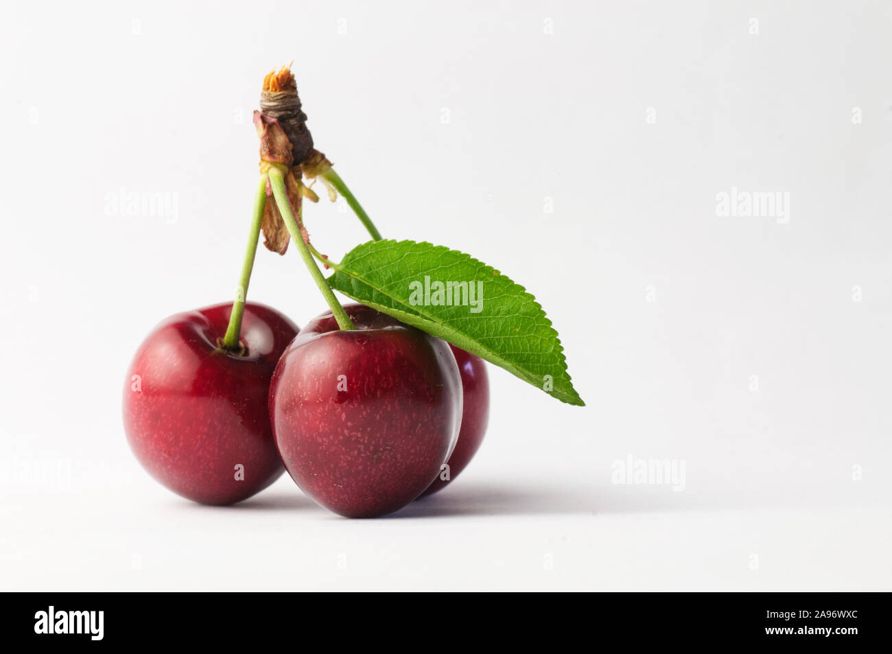 Tasty stalk hi-res stock photography and images - Alamy