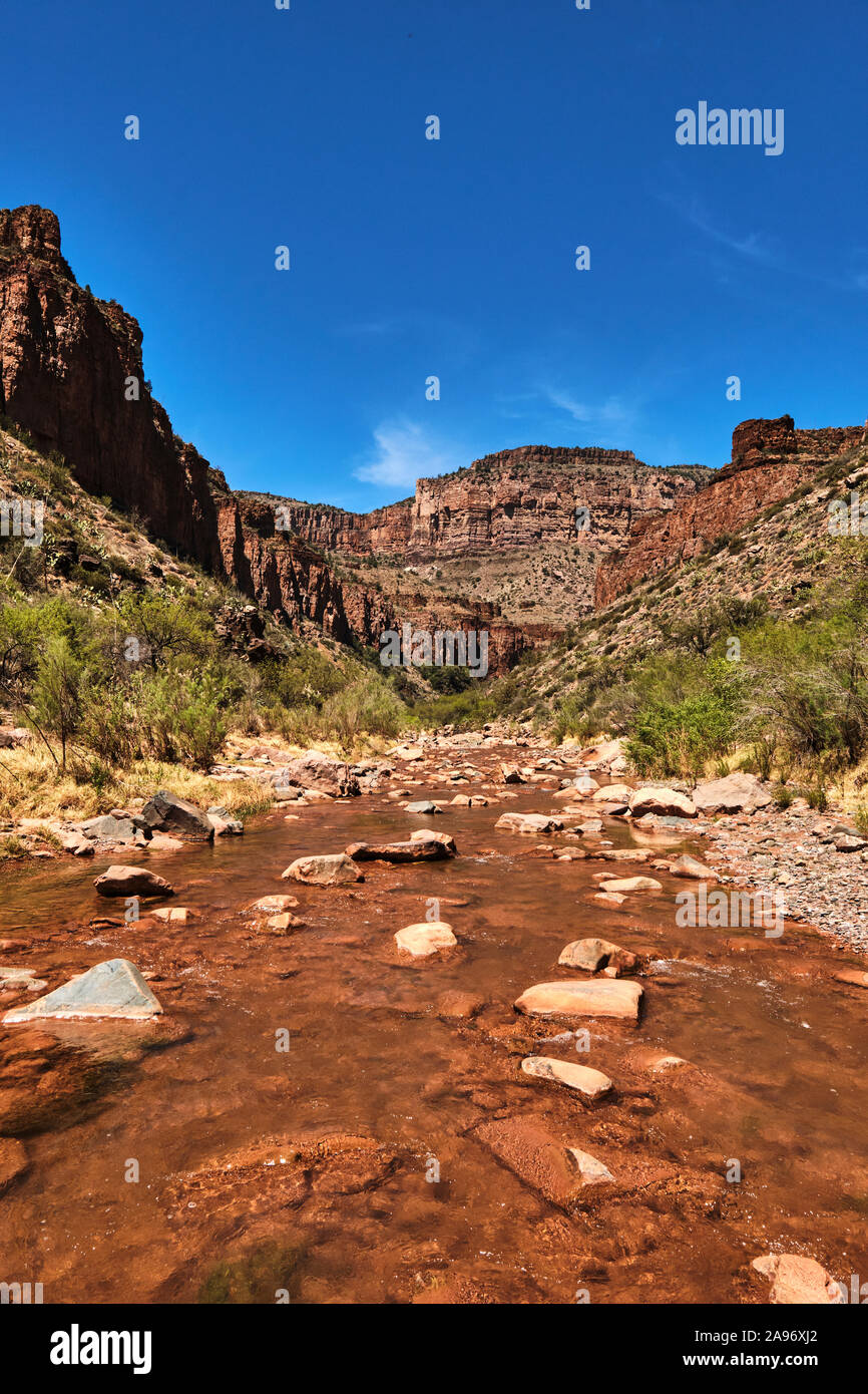 The view looking up Cibeque Canyon, on Cibeque Creek in Arizona Stock ...