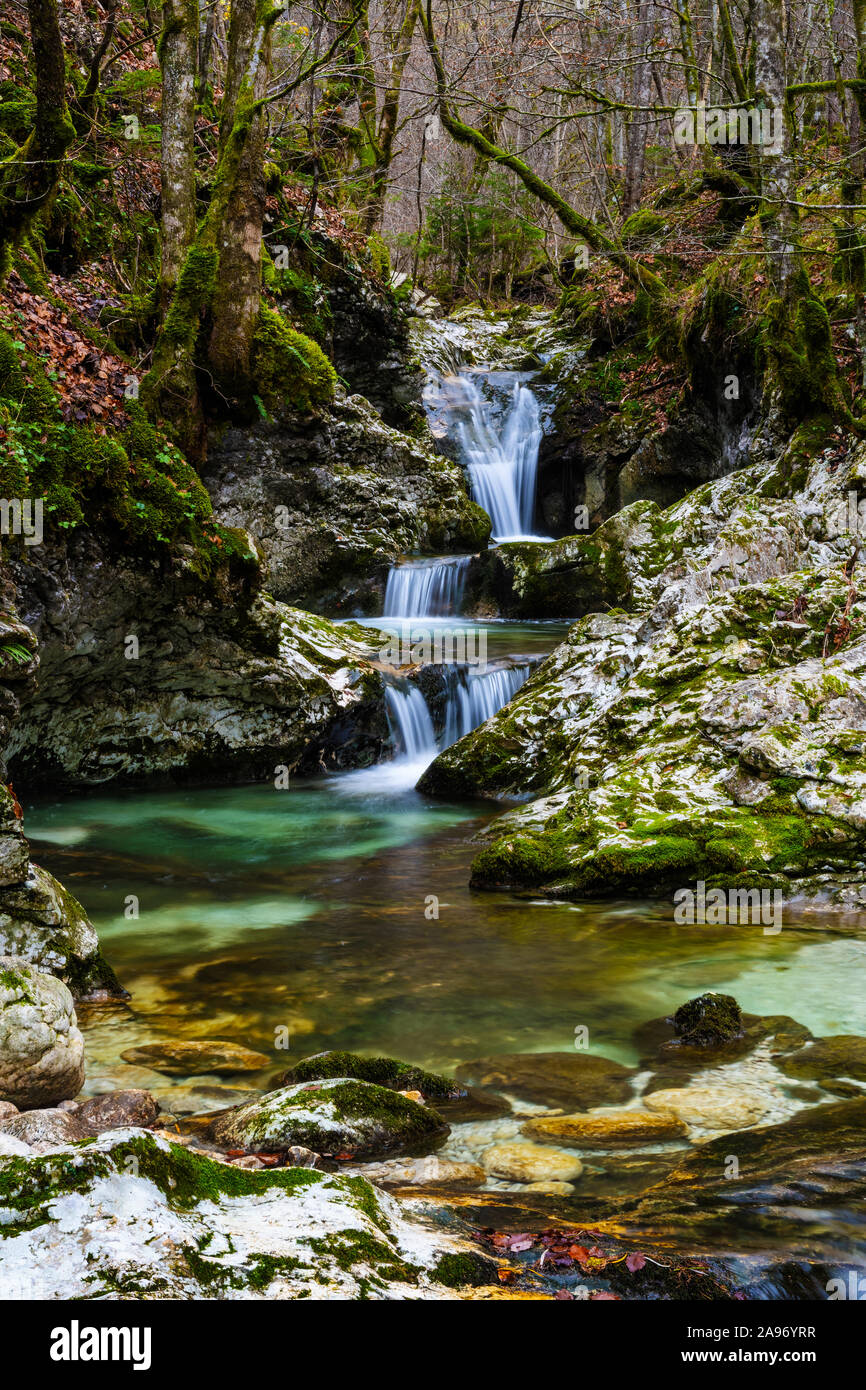 Beautiful silky cascades of fresh mountain stream in autumn forest ...