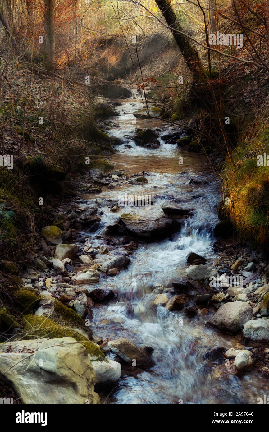 Beautiful dreamy fresh mountain stream in autumn forest. Nature ...