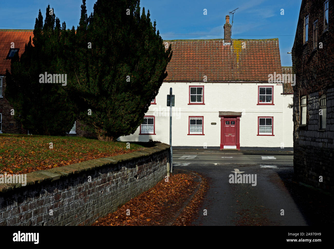 Churchyard yew trees and house, in the village of Wetwang, East ...