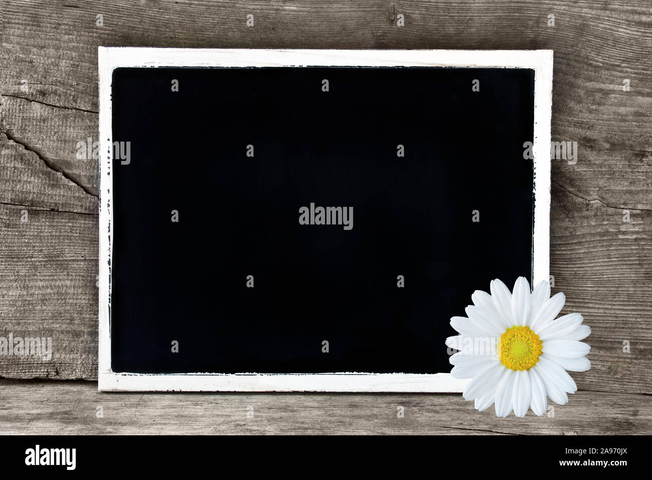 Wooden board with daisy close up Stock Photo - Alamy