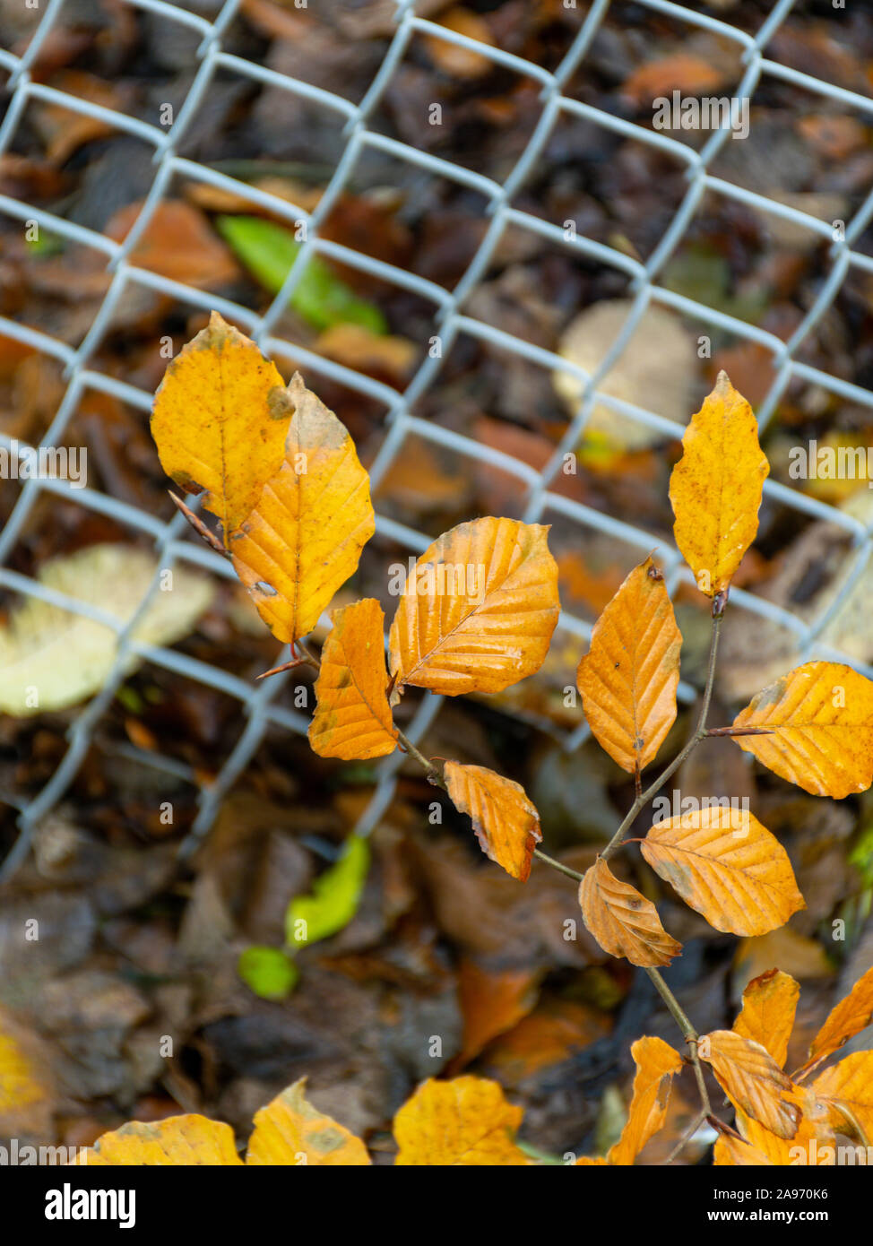abstract texture of different backgrounds Stock Photo - Alamy