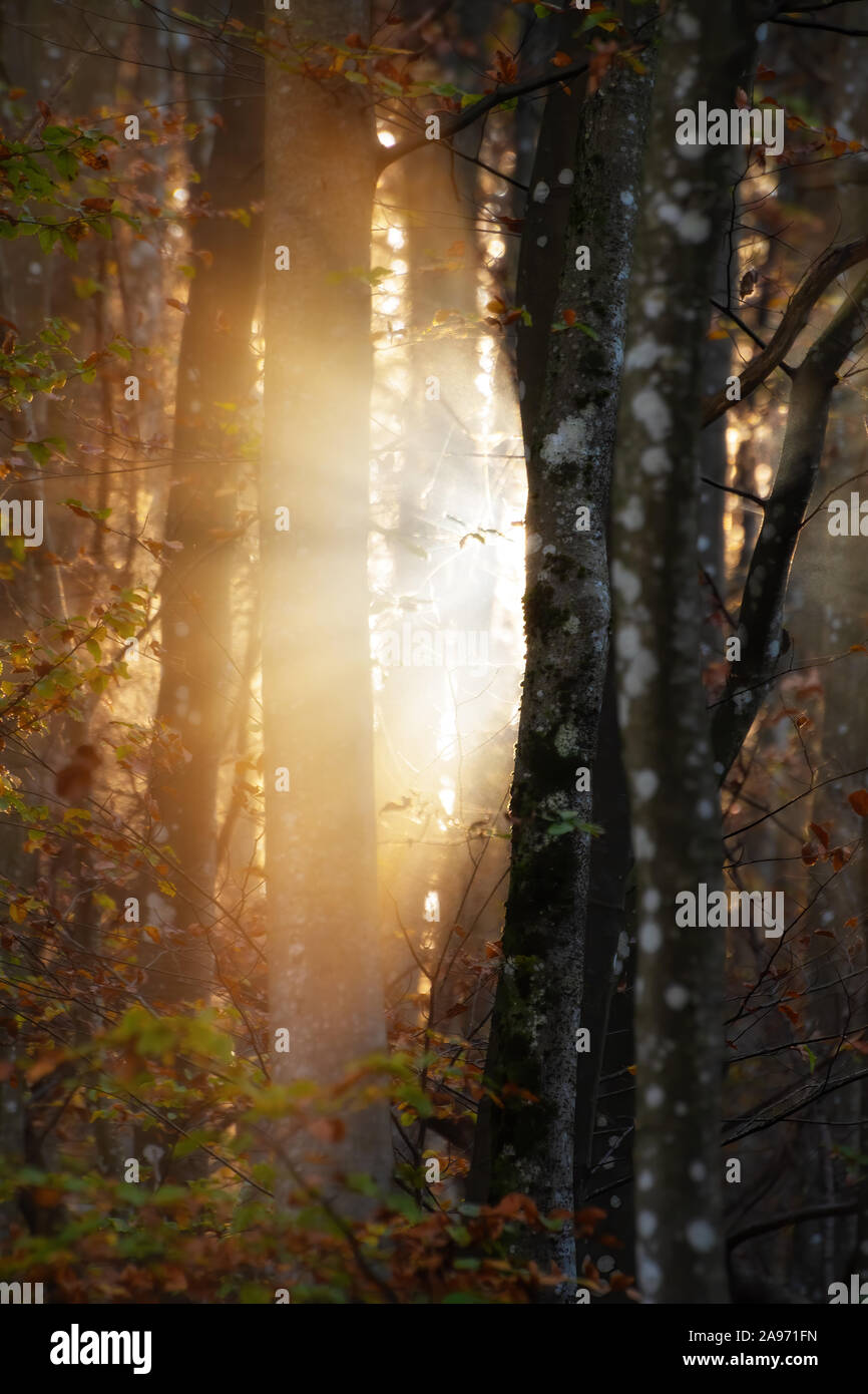 Scene hope beautiful hi-res stock photography and images - Alamy