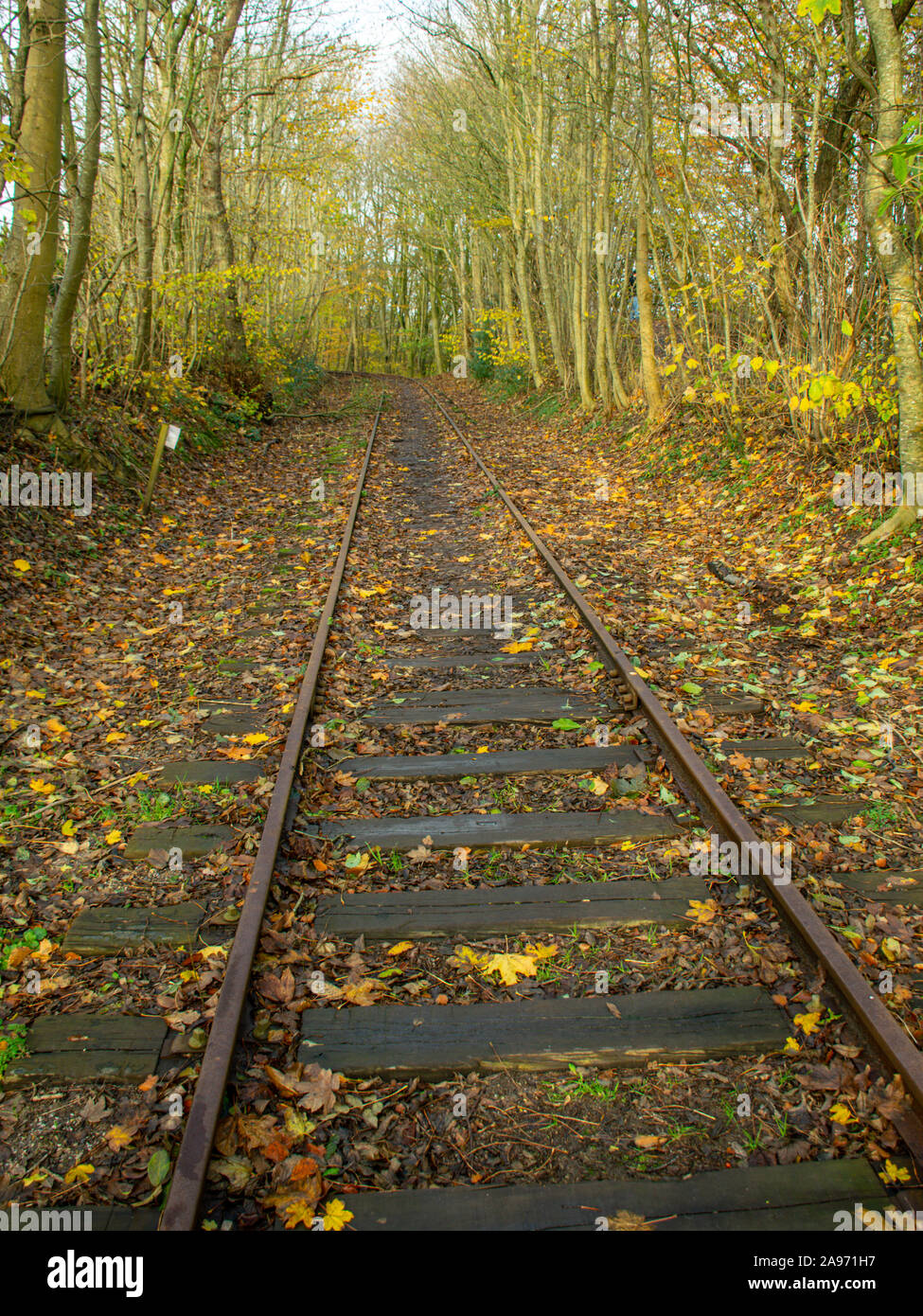 landscape with old railway tracks, grass on the tracks Stock Photo - Alamy