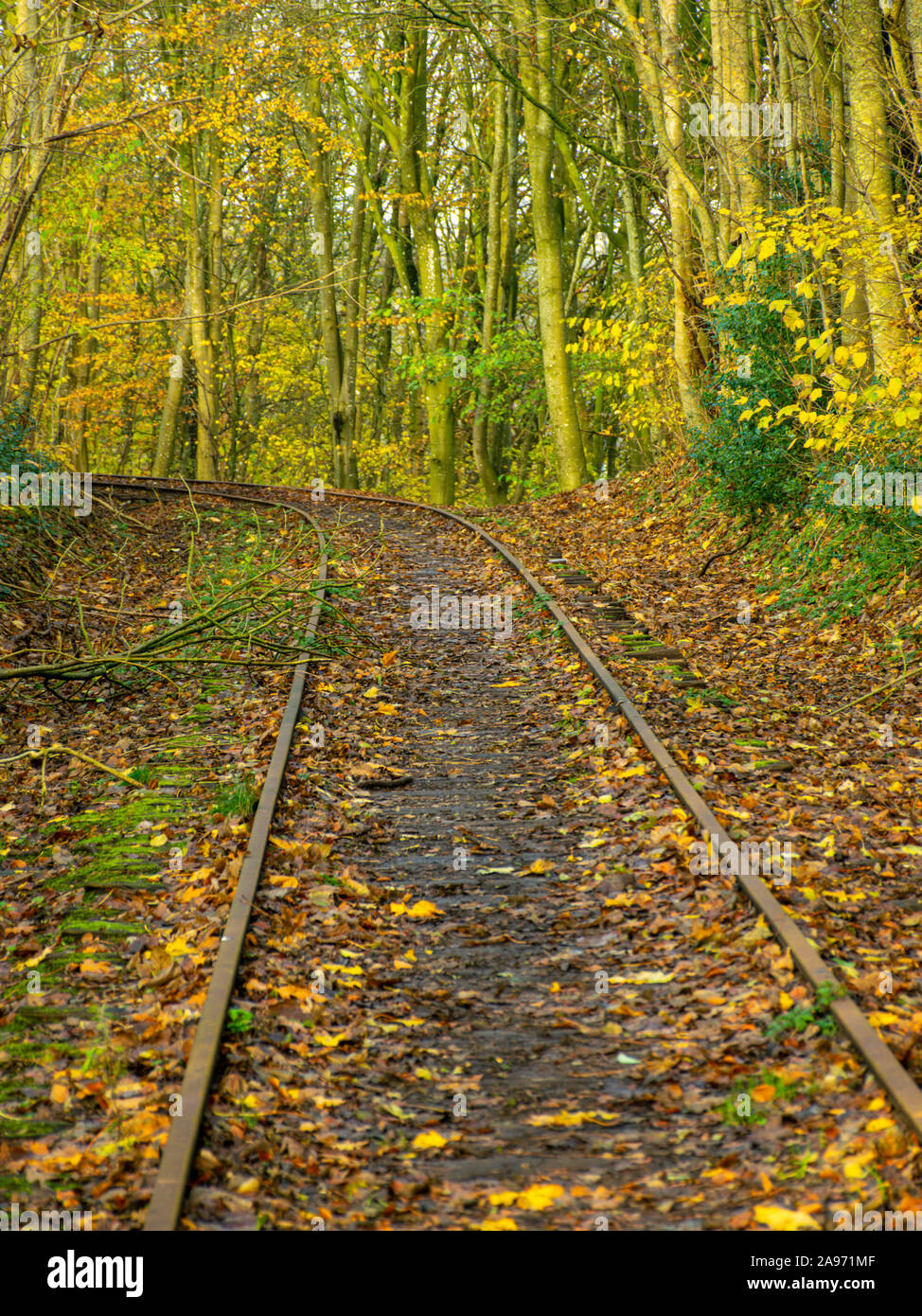 landscape with old railway tracks, grass on the tracks Stock Photo - Alamy
