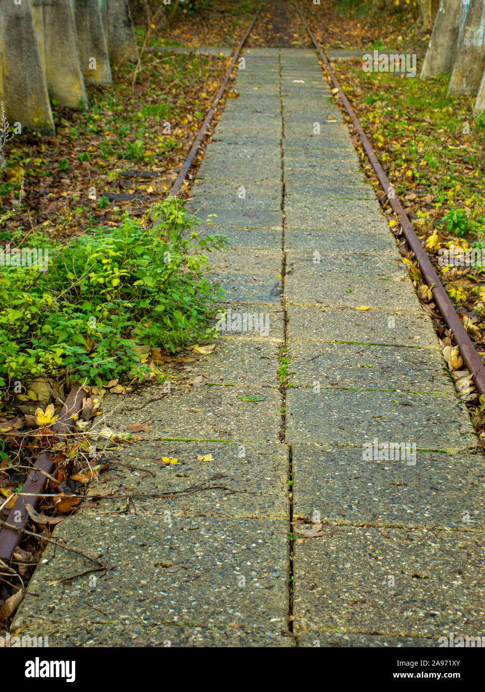 landscape with old railway tracks, grass on the tracks Stock Photo - Alamy