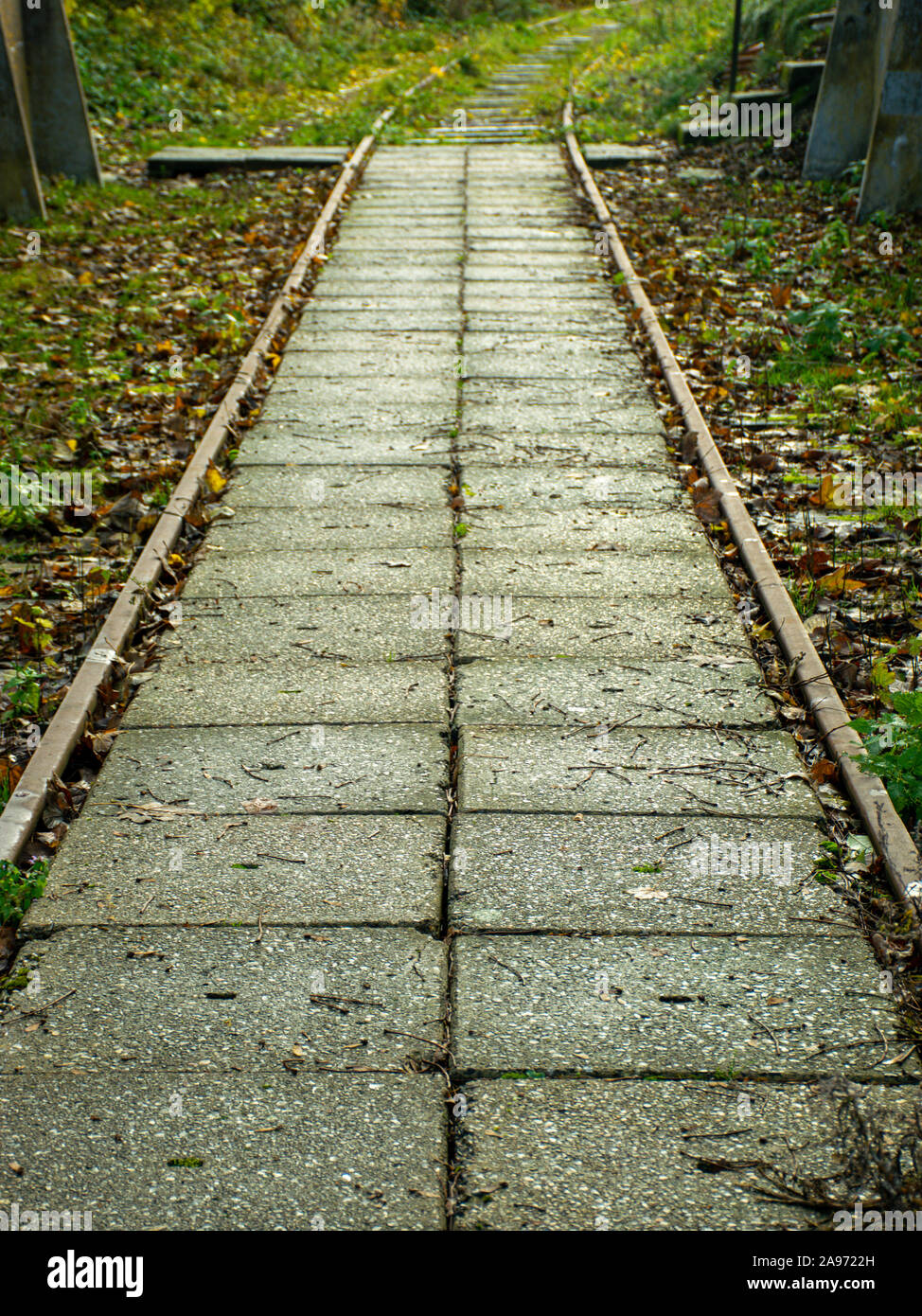 landscape with old railway tracks, grass on the tracks Stock Photo - Alamy