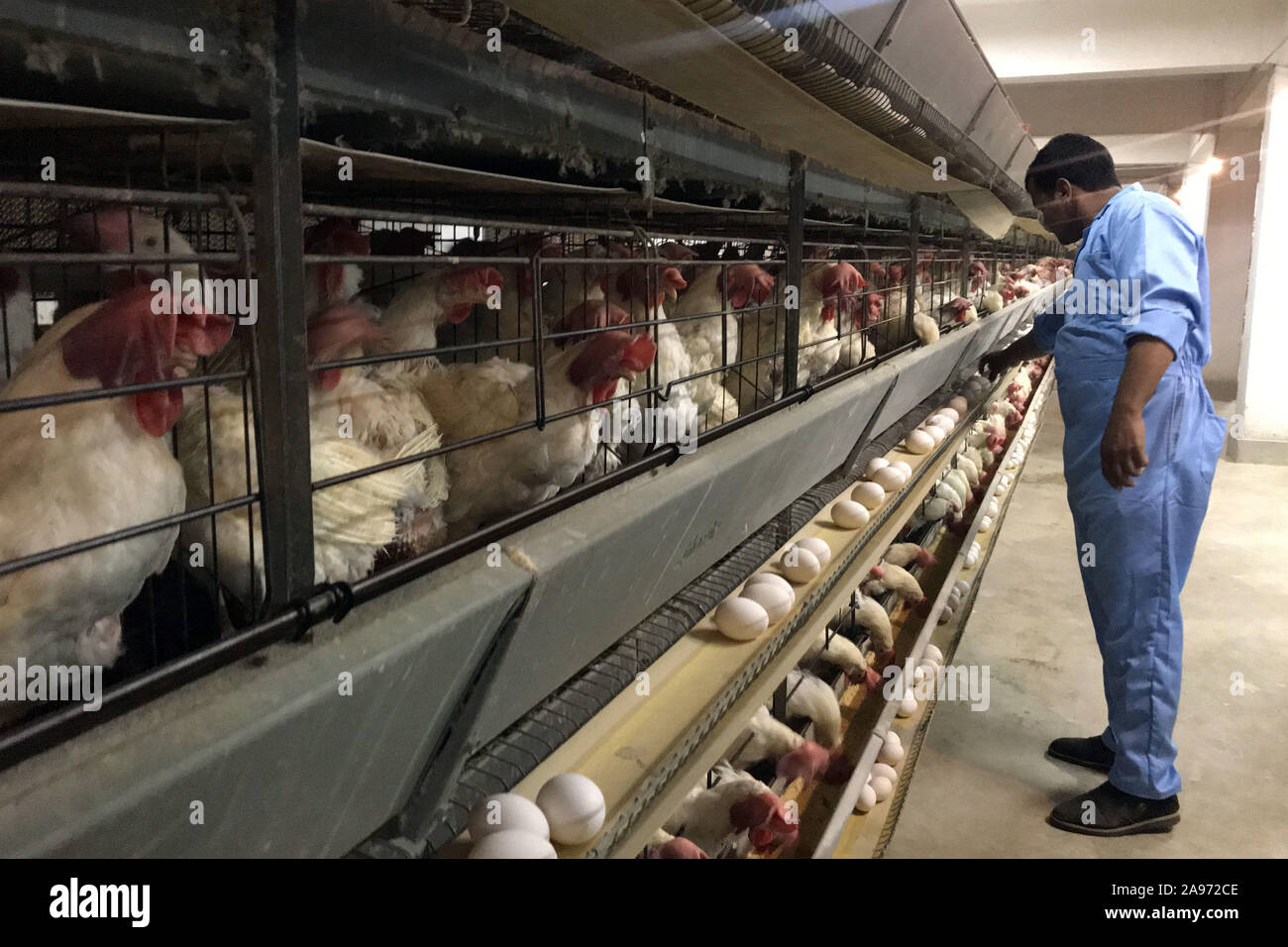 Egyptian prisoner hi-res stock photography and images - Alamy