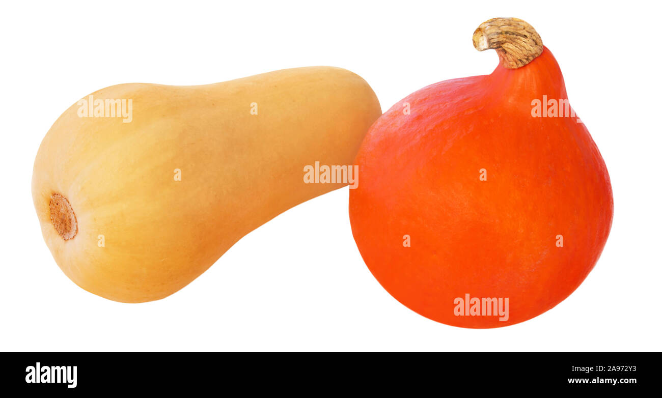 Pumpkin types hi-res stock photography and images - Alamy