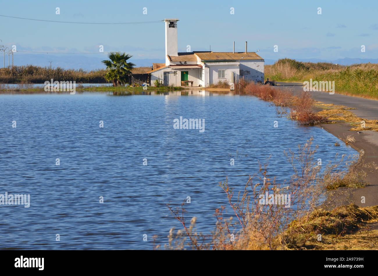 Albufera natural park, a wetland of international importance in ...