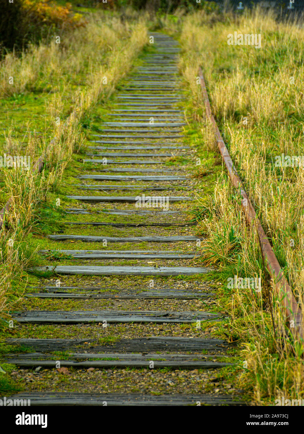 landscape with old railway tracks, grass on the tracks Stock Photo - Alamy