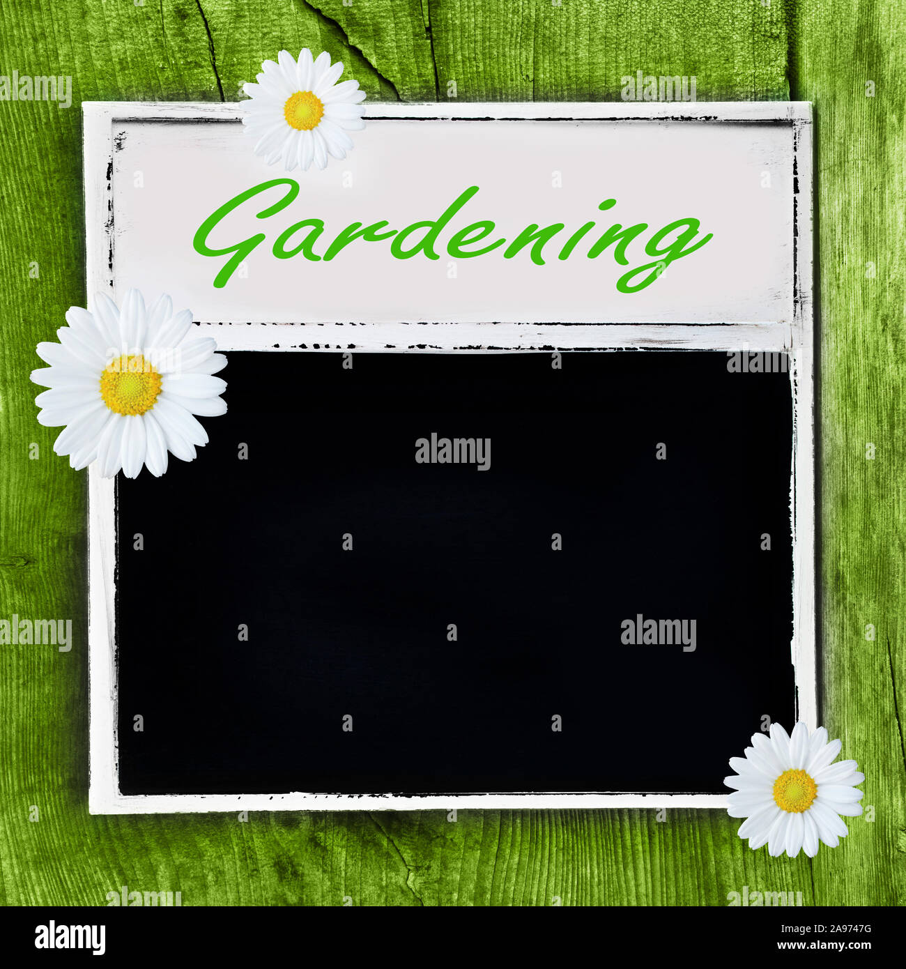 Gardening background with board and flowers Stock Photo - Alamy