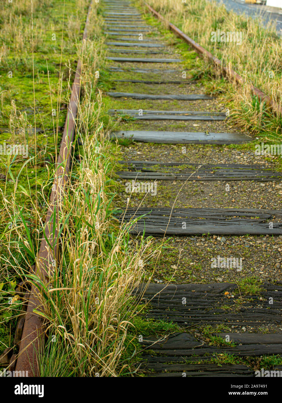landscape with old railway tracks, grass on the tracks Stock Photo - Alamy