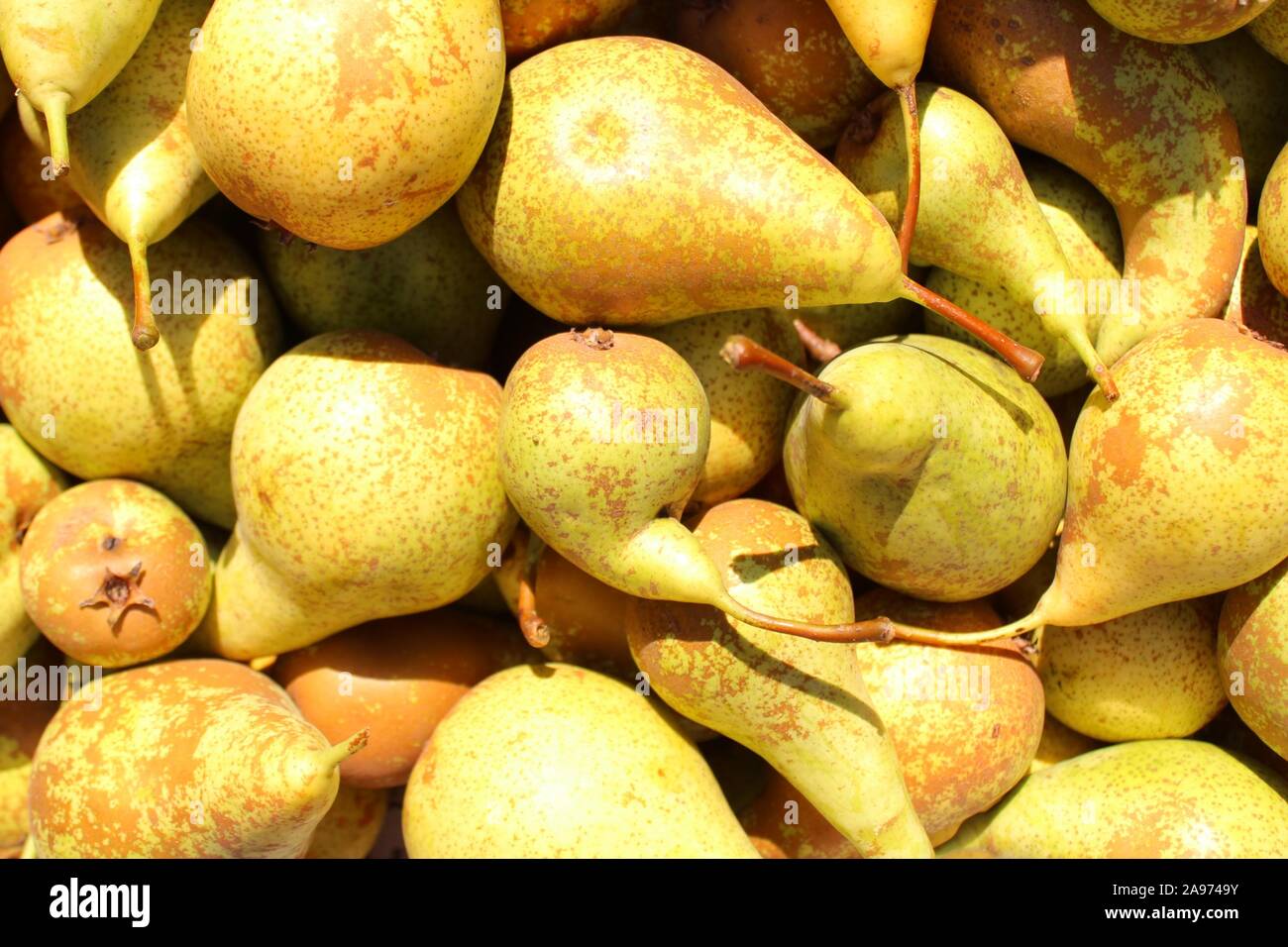 Pears picture hi-res stock photography and images - Alamy
