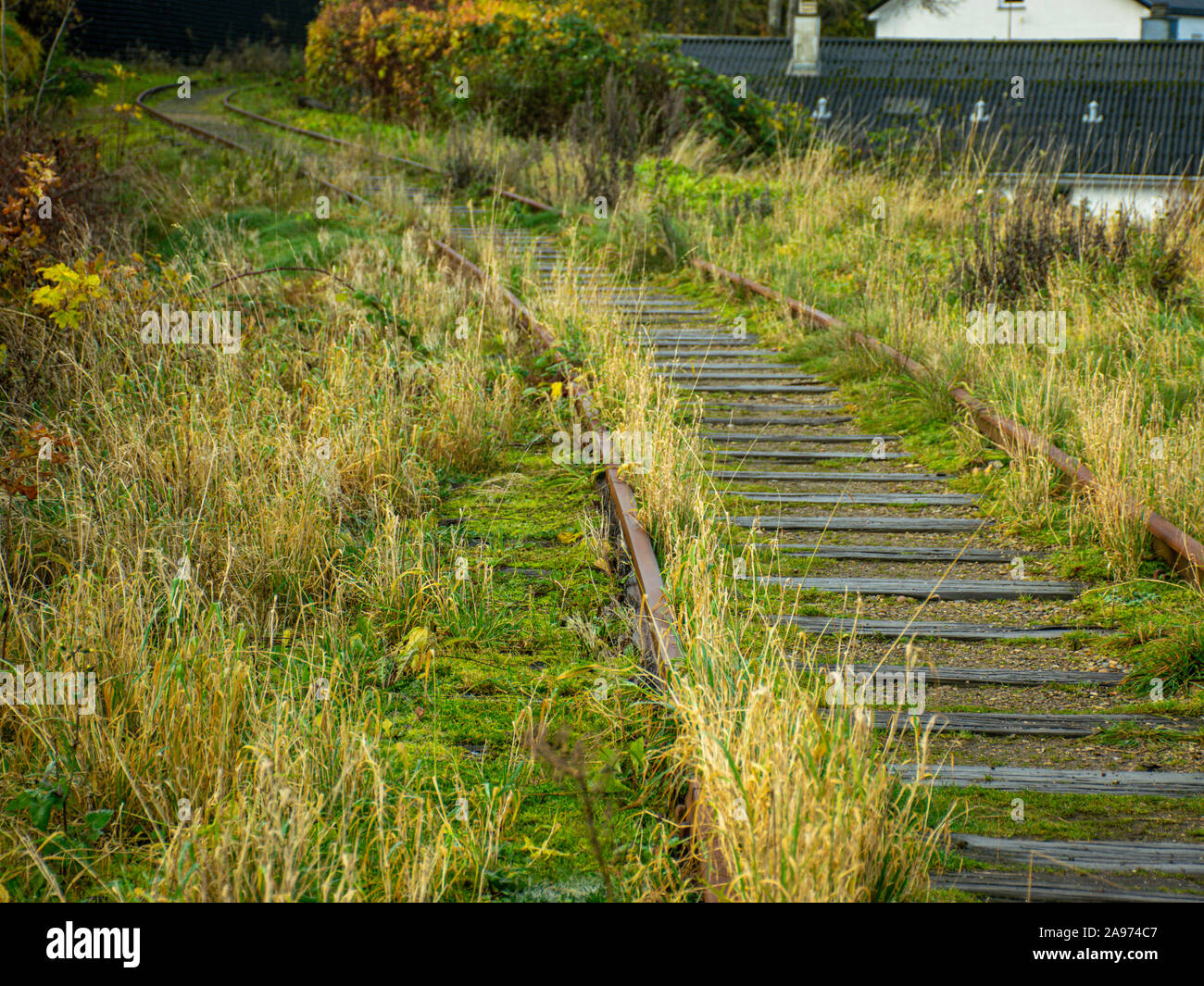landscape with old railway tracks, grass on the tracks Stock Photo - Alamy