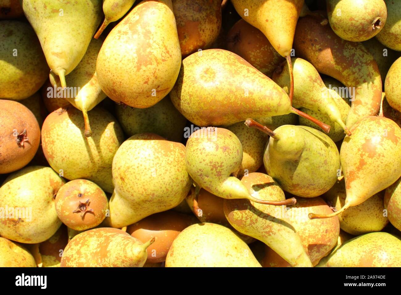 Pears picture hi-res stock photography and images - Alamy