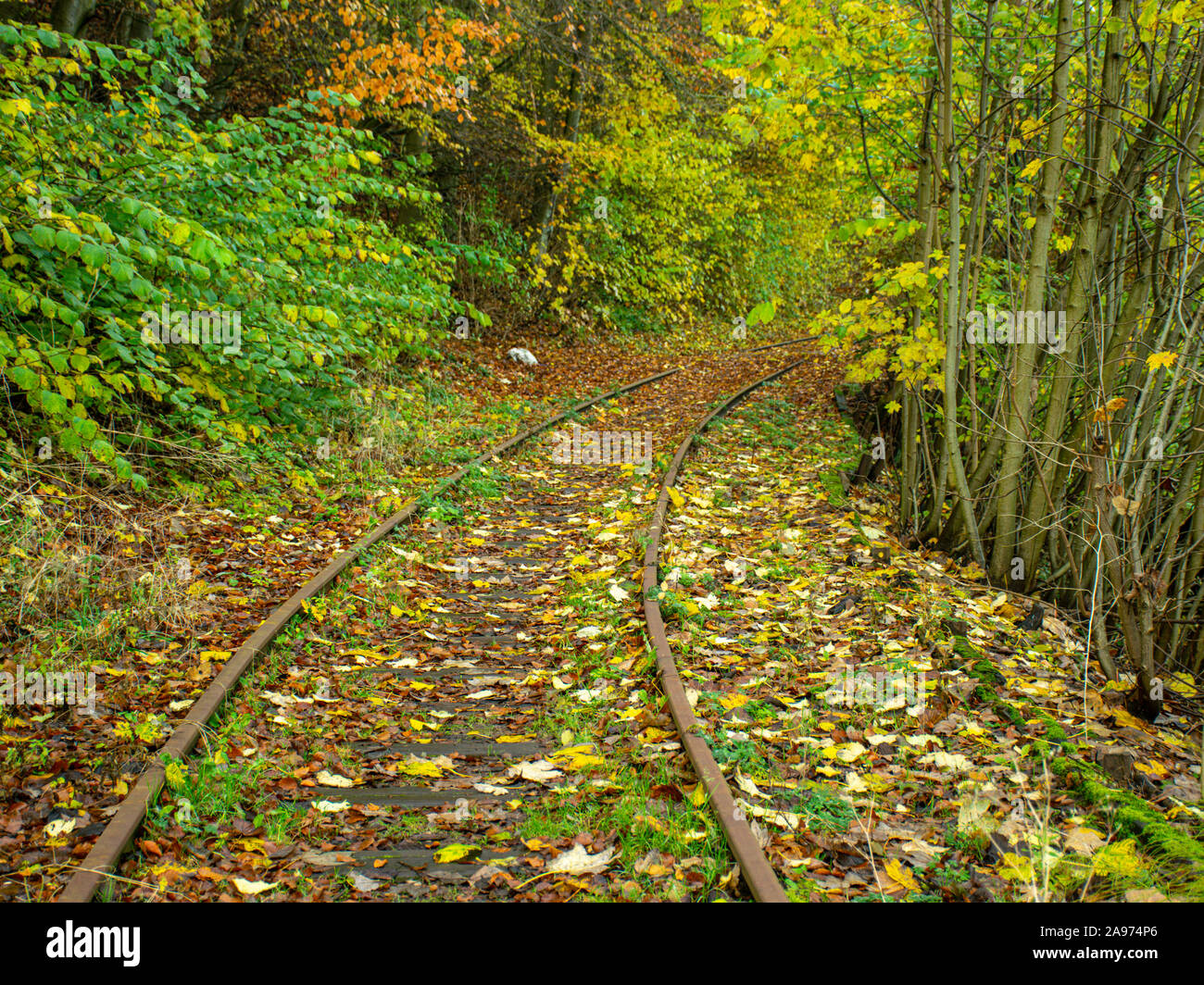 landscape with old railway tracks, grass on the tracks Stock Photo - Alamy
