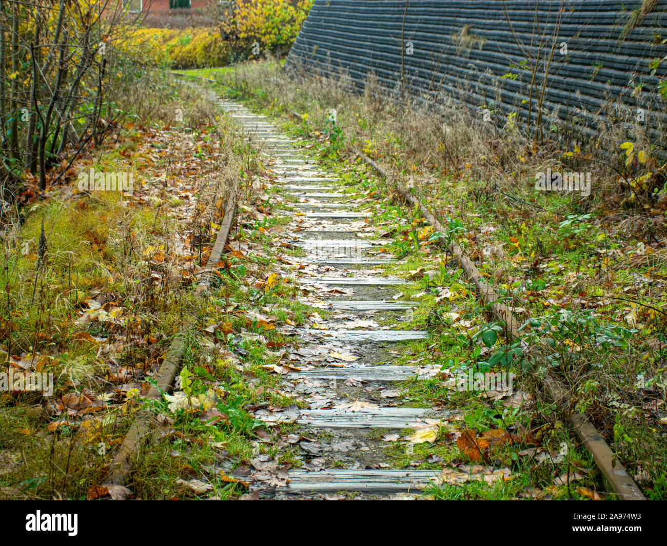 landscape with old railway tracks, grass on the tracks Stock Photo - Alamy