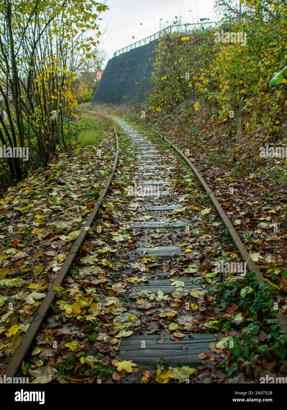 landscape with old railway tracks, grass on the tracks Stock Photo - Alamy