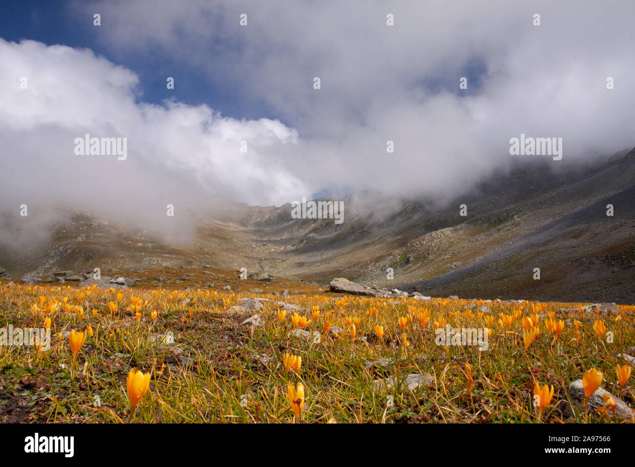 Altiparmak mountain rize hi-res stock photography and images - Alamy