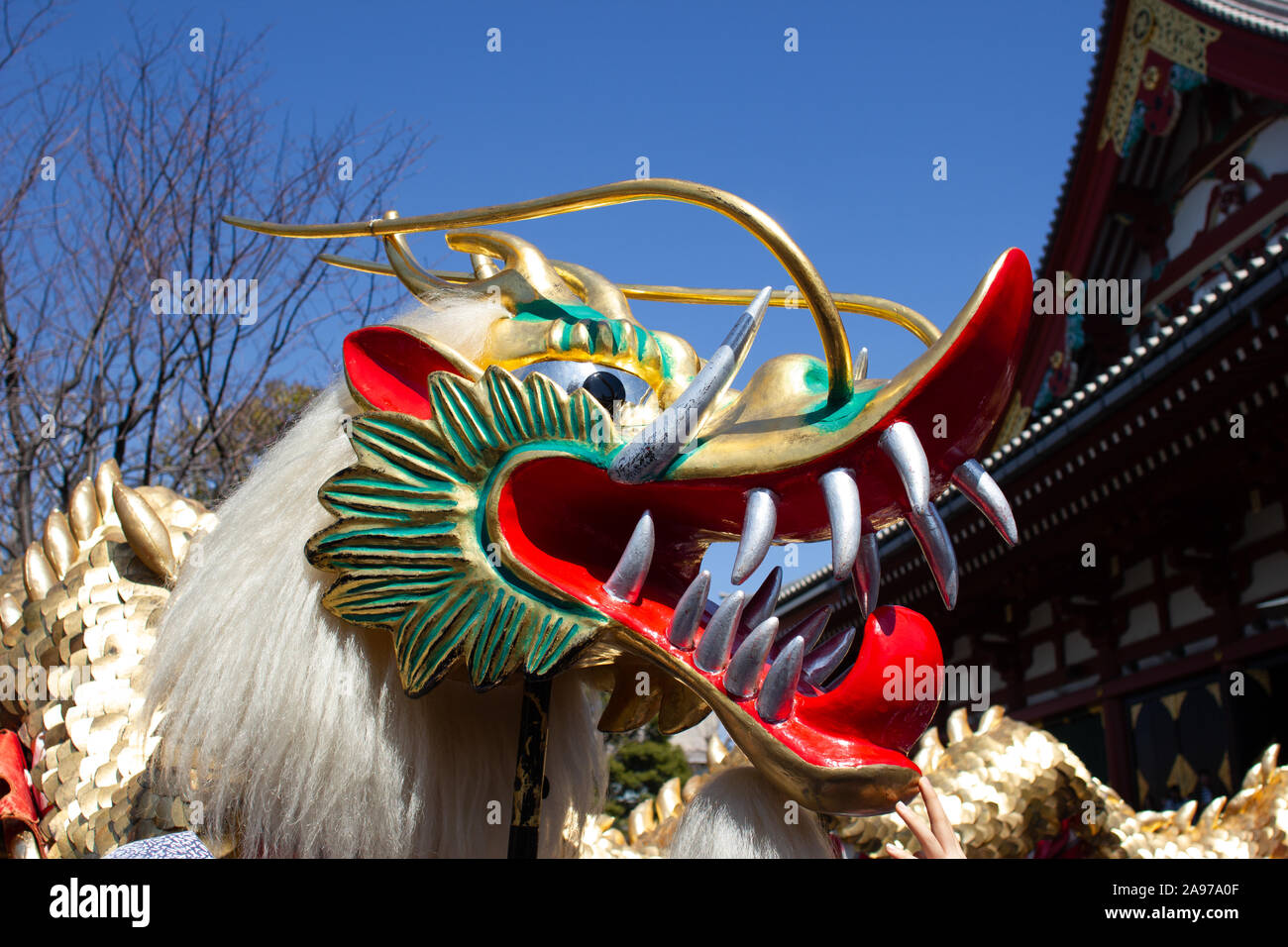 Golden Dragon Dance (Kinryu No Mai), Asakusa, Tokyo Stock Photo - Alamy