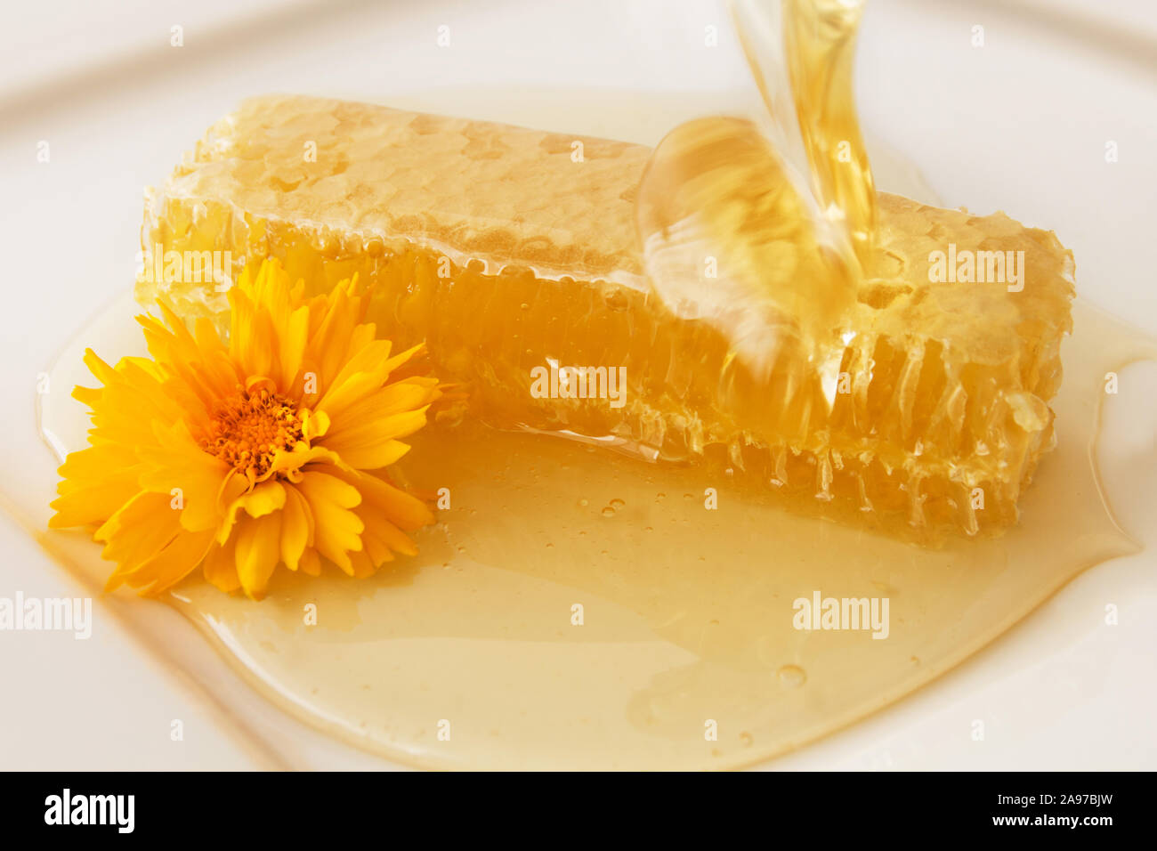 Honea and honeycomb close up Stock Photo - Alamy