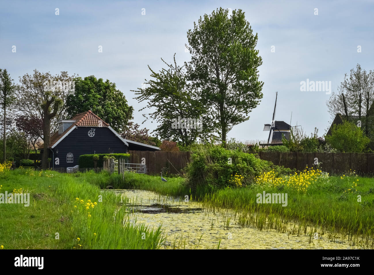 Classic scene with canal, farm and windmill in the dutch countryside in ...