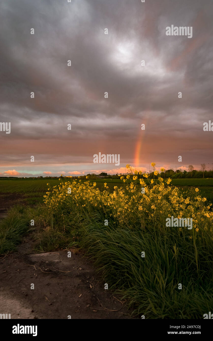 Rainbow nature landscape hi-res stock photography and images - Alamy
