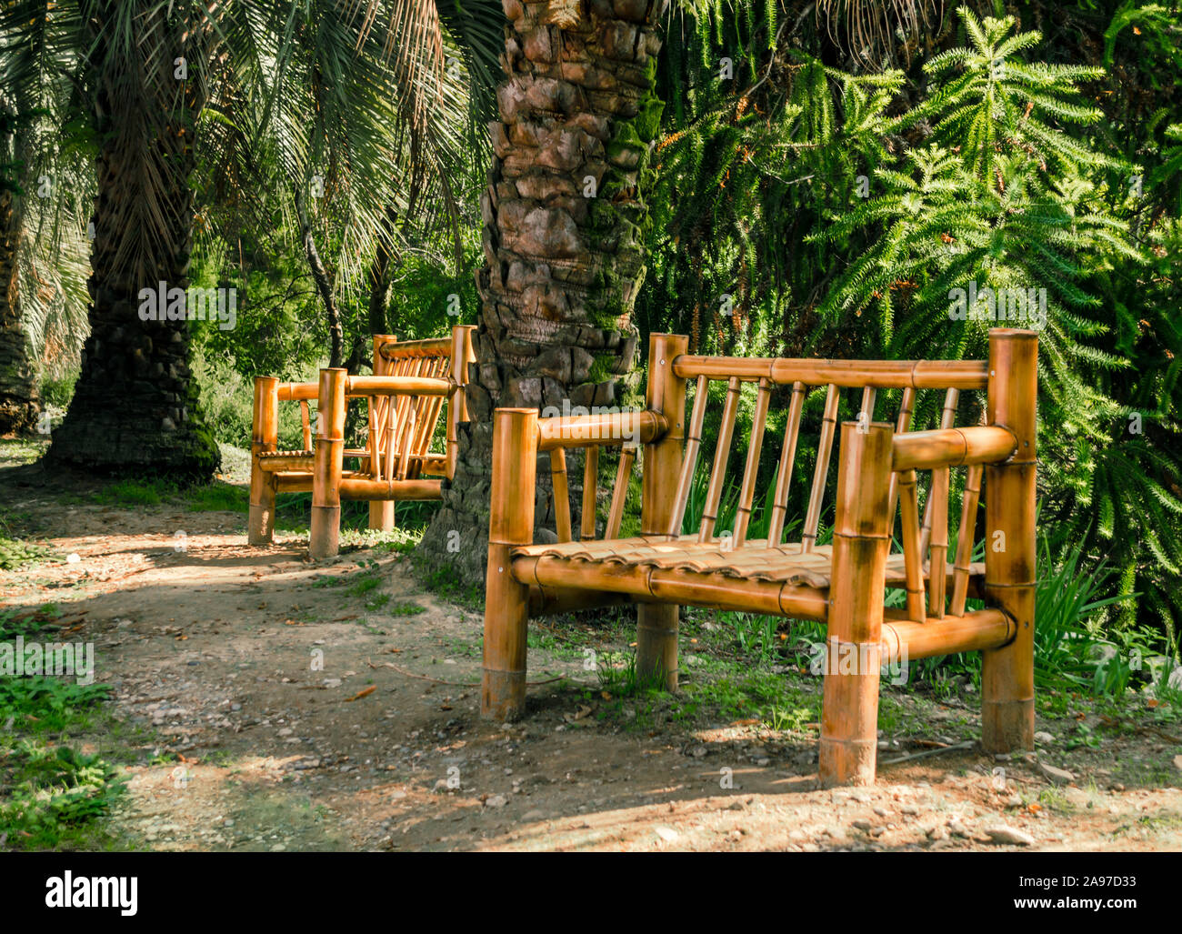relax background public park with palm trees and bamboo benches Stock ...