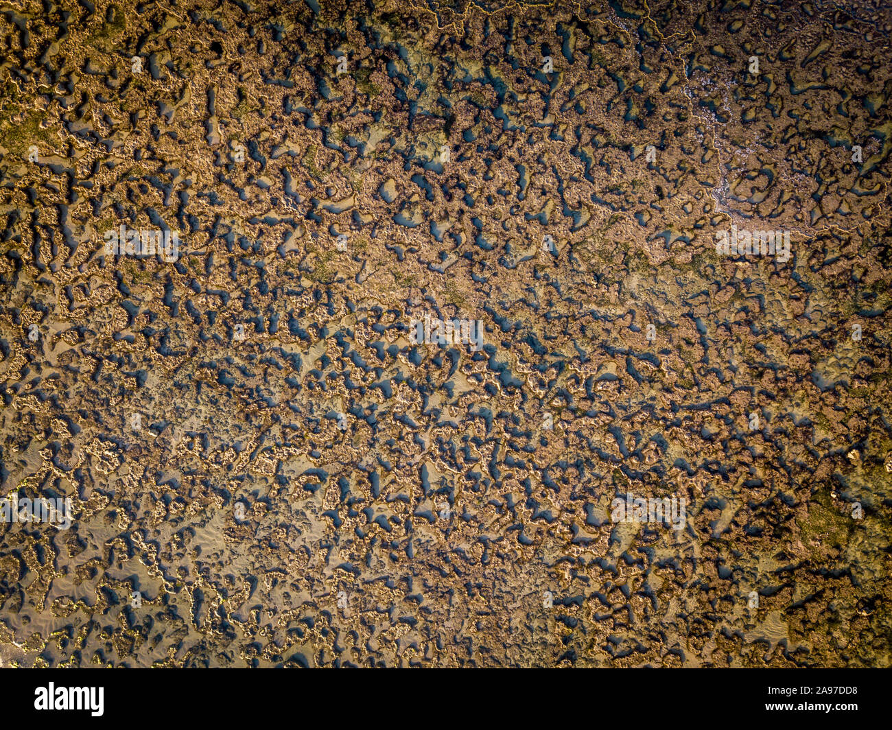 Drone picture of rocks in the Indian ocean, Tanzania Stock Photo - Alamy