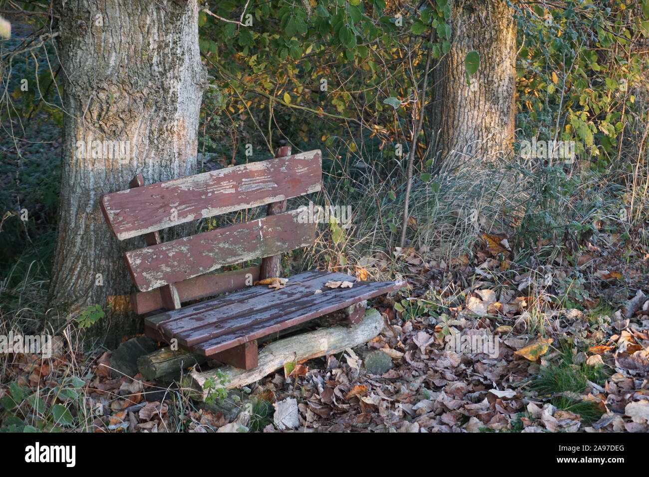 droemling nature park germany sunrise winter autumn fall cold ice bench ...