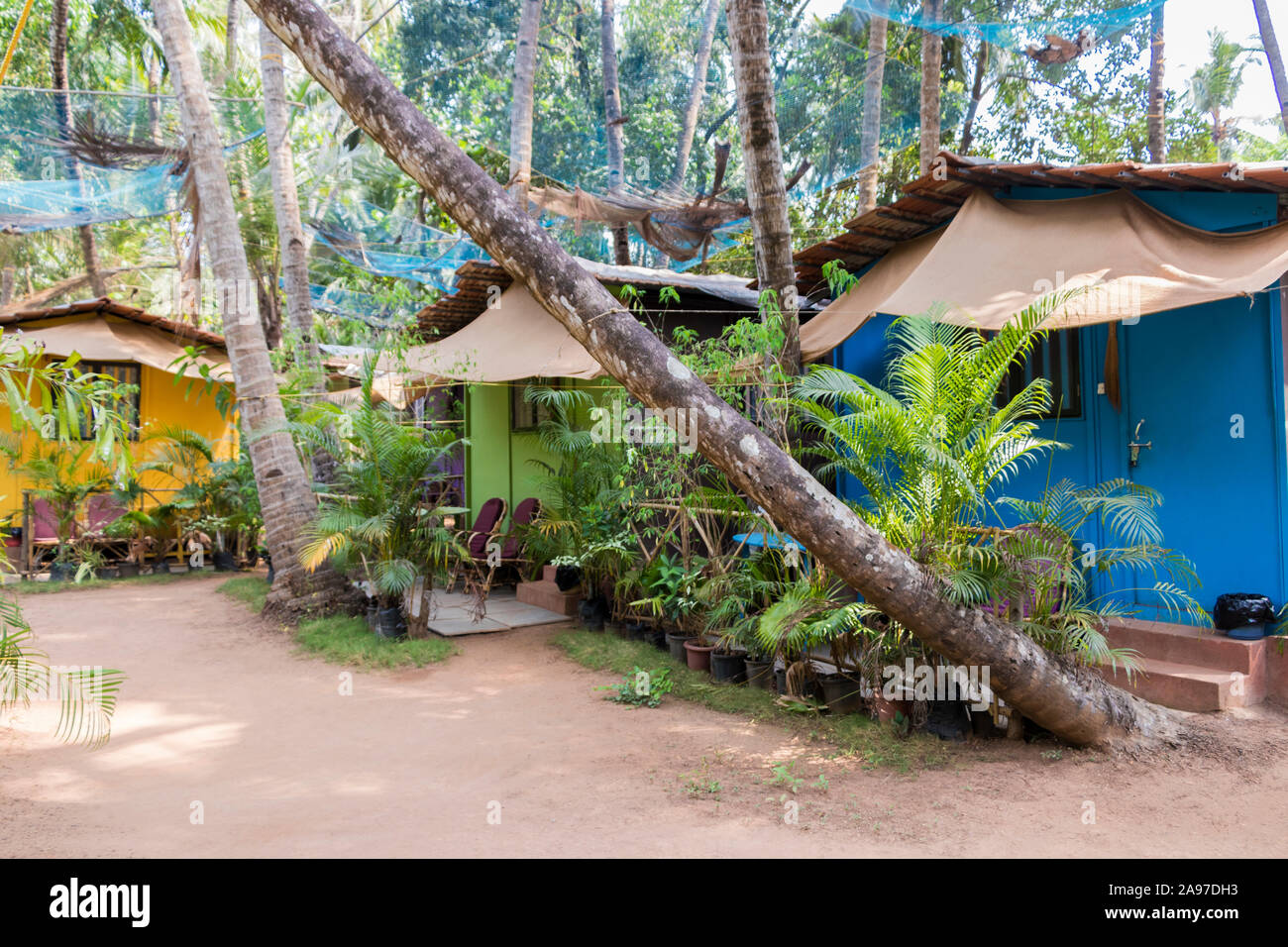 Beach huts in tropical India, Agonda Beach. Beautiful beach huts in the ...