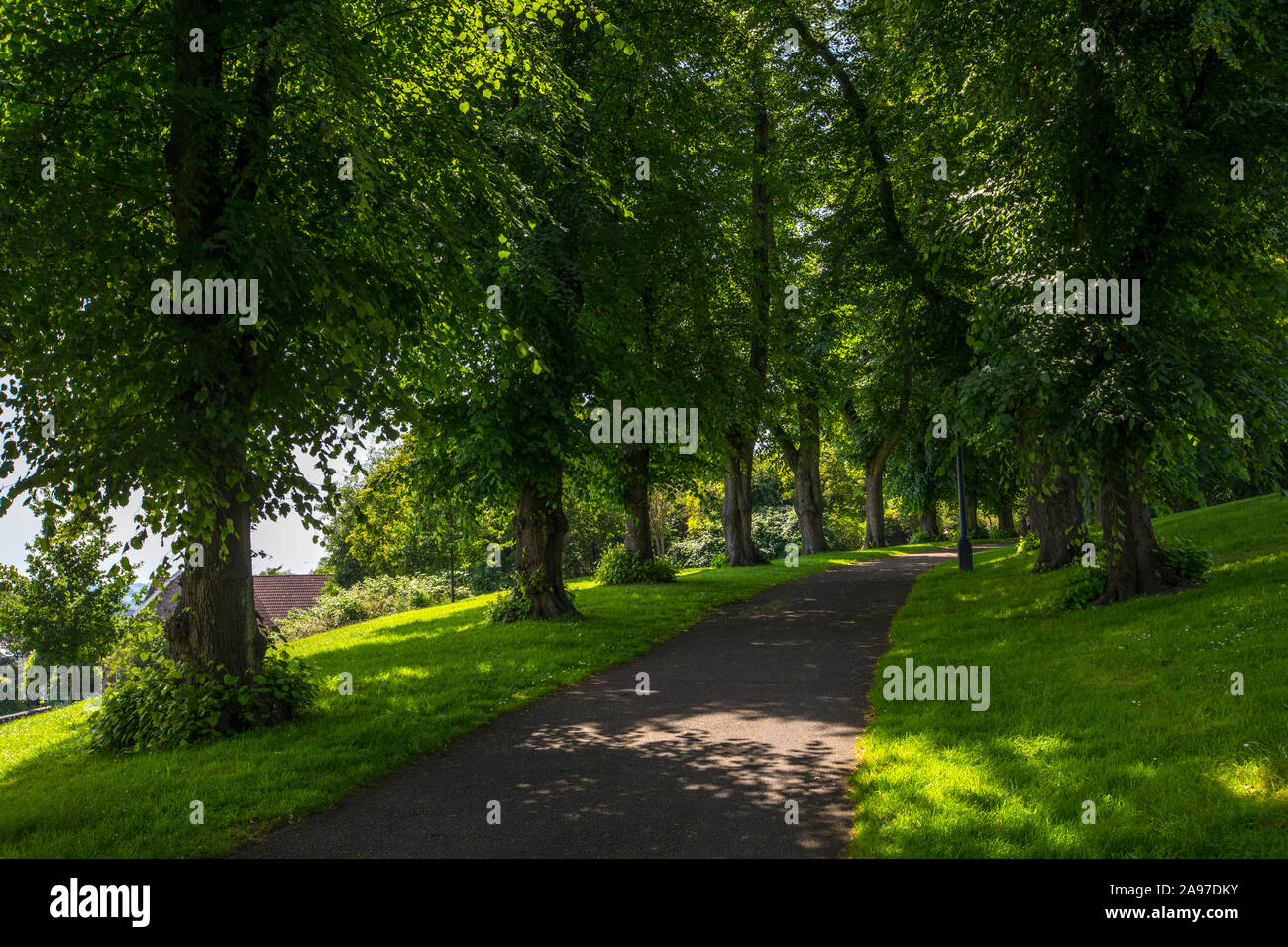 A tree-lined pathway in the beautiful Brandon Hill Park in the city of ...
