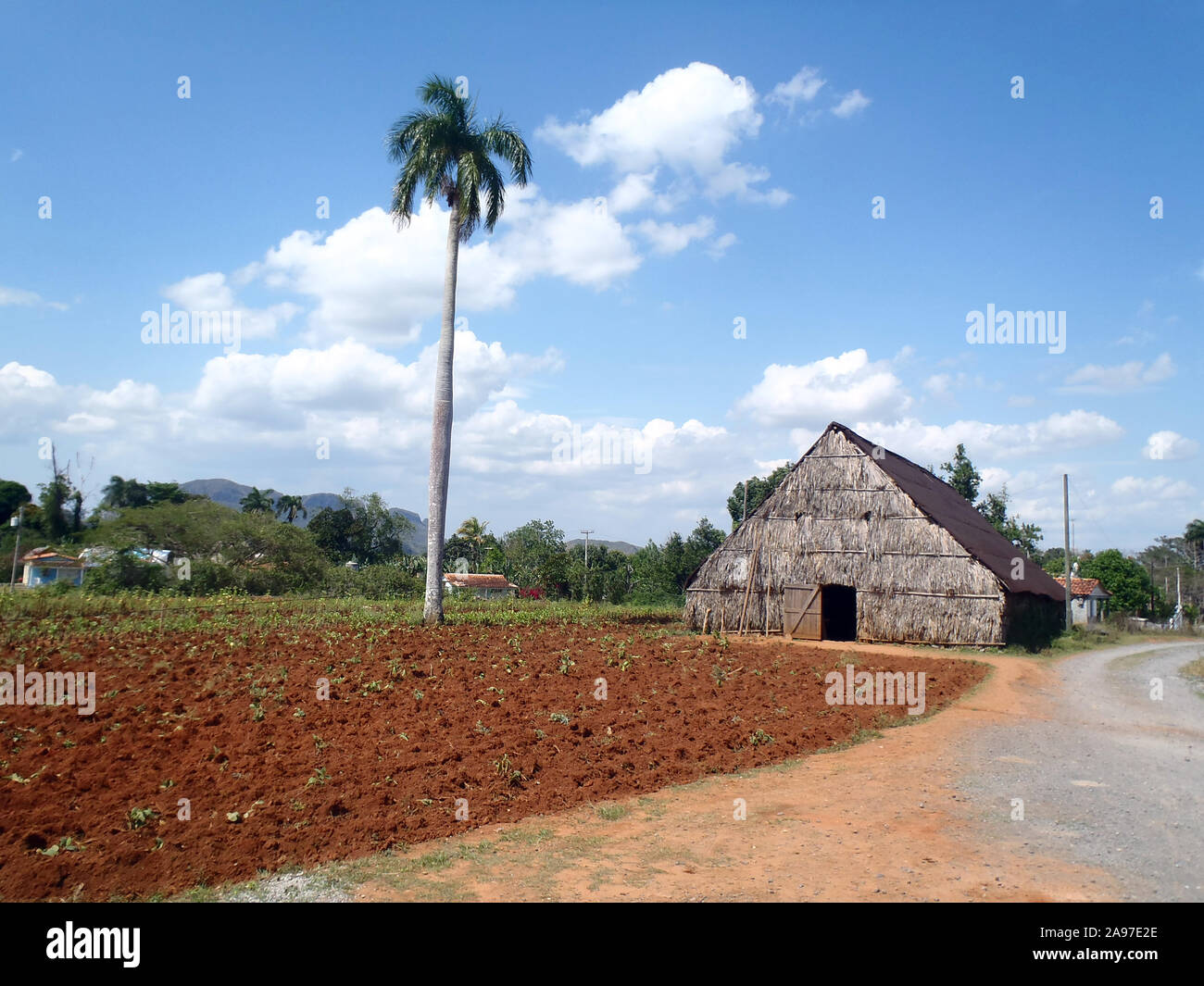 Cuban field and tobacco drying hut, Vinales, Cuba Stock Photo - Alamy