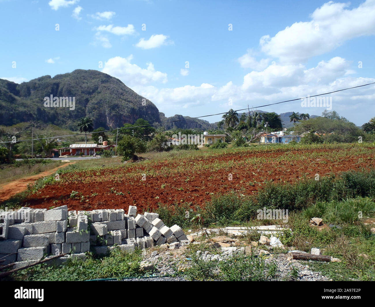 Cuban field, Vinales, Cuba Stock Photo - Alamy