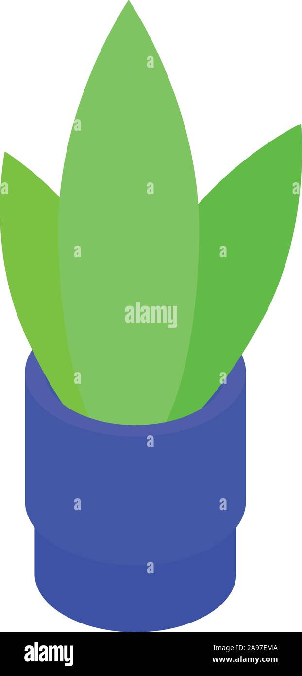 Houseplant icon, isometric style Stock Vector Image & Art - Alamy