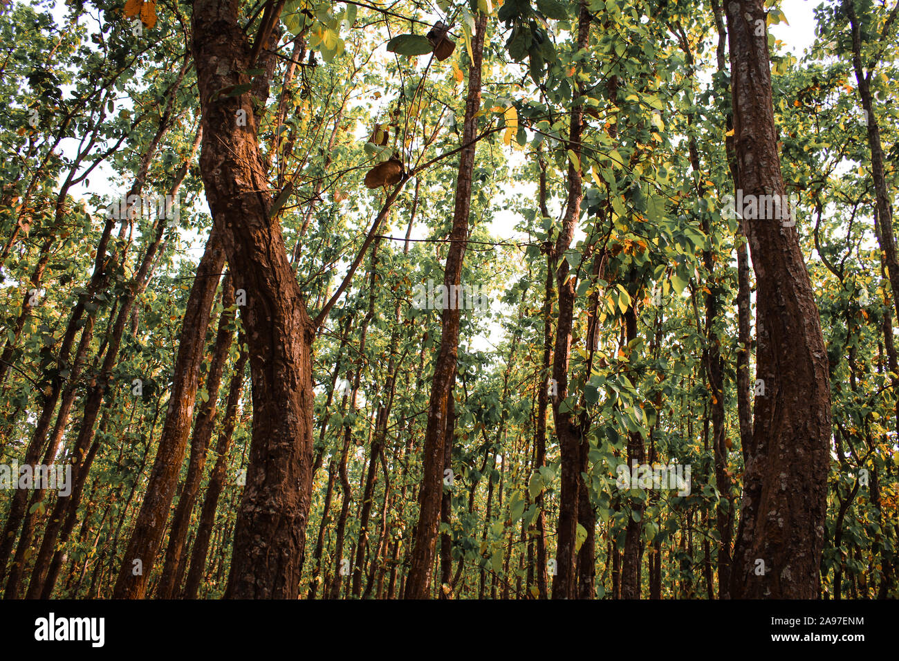 Gajni Obokash Kendro scene in Bangladesh Stock Photo - Alamy