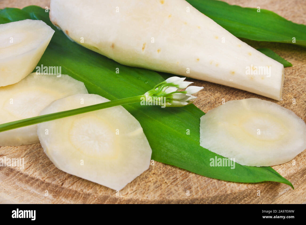 Parsnip vegetabes and fresh herbs Stock Photo - Alamy