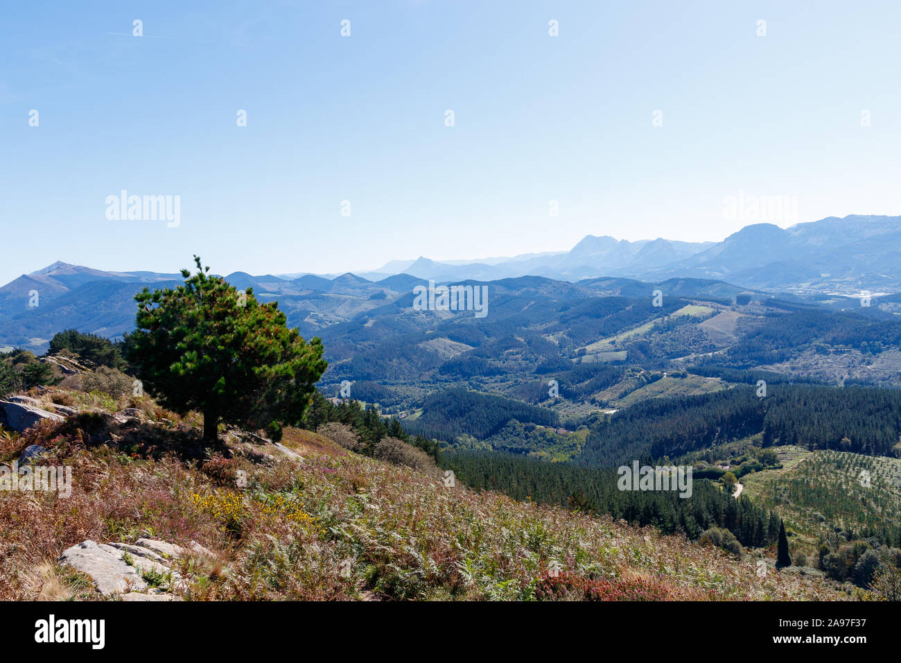 Basque country nature landscape hi-res stock photography and images - Alamy