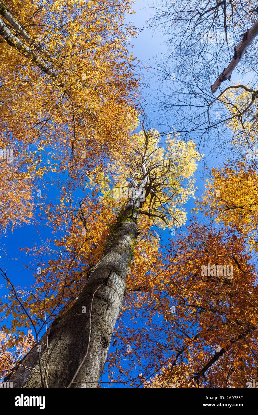 Top to bottom view hi-res stock photography and images - Alamy