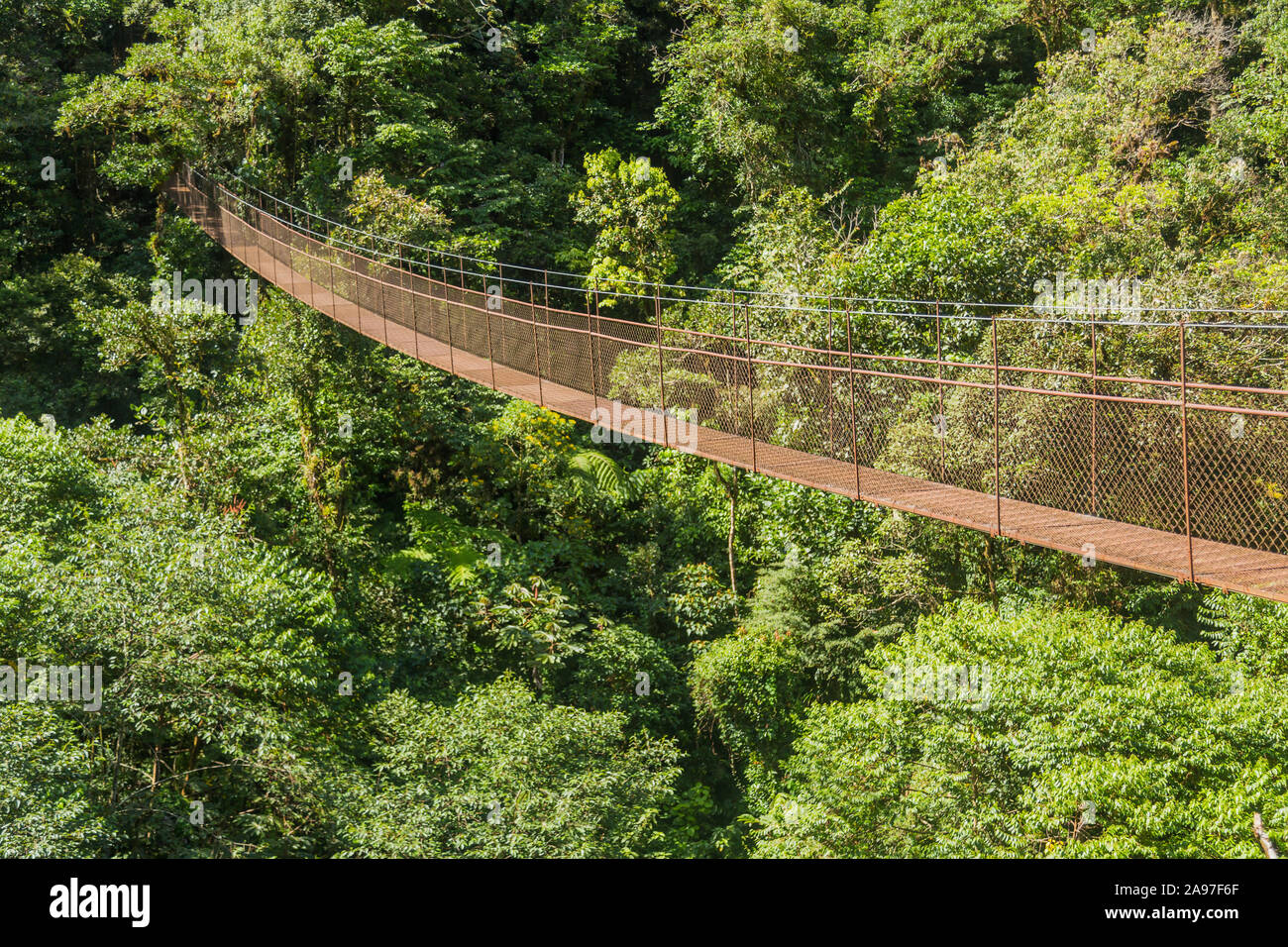 old hanging bridge in the jungle of Panama Stock Photo - Alamy