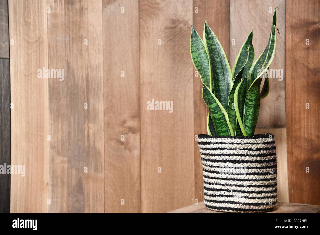 Interior design pictures Stock Photo - Alamy