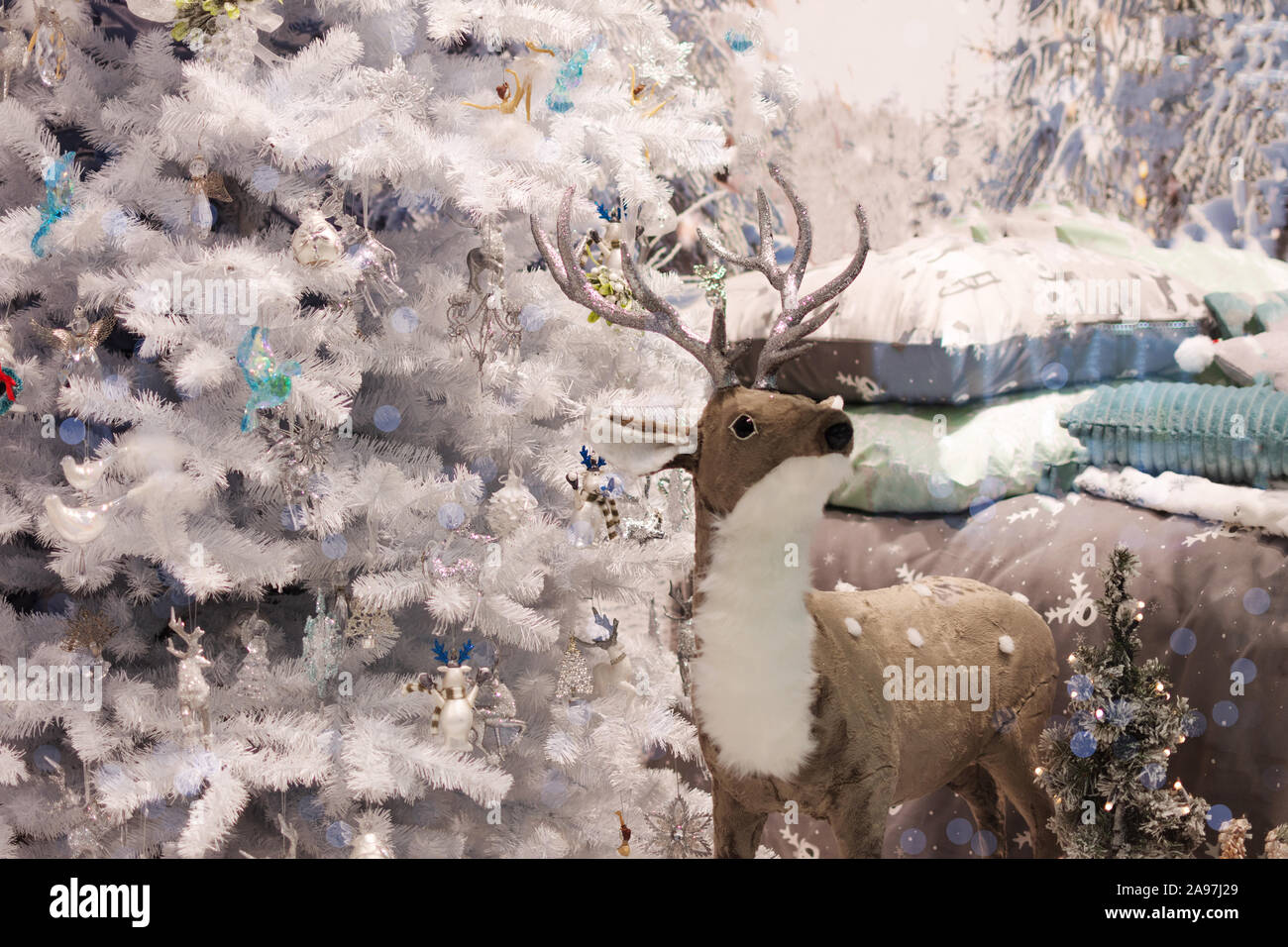 Fluffy deer hi-res stock photography and images - Alamy