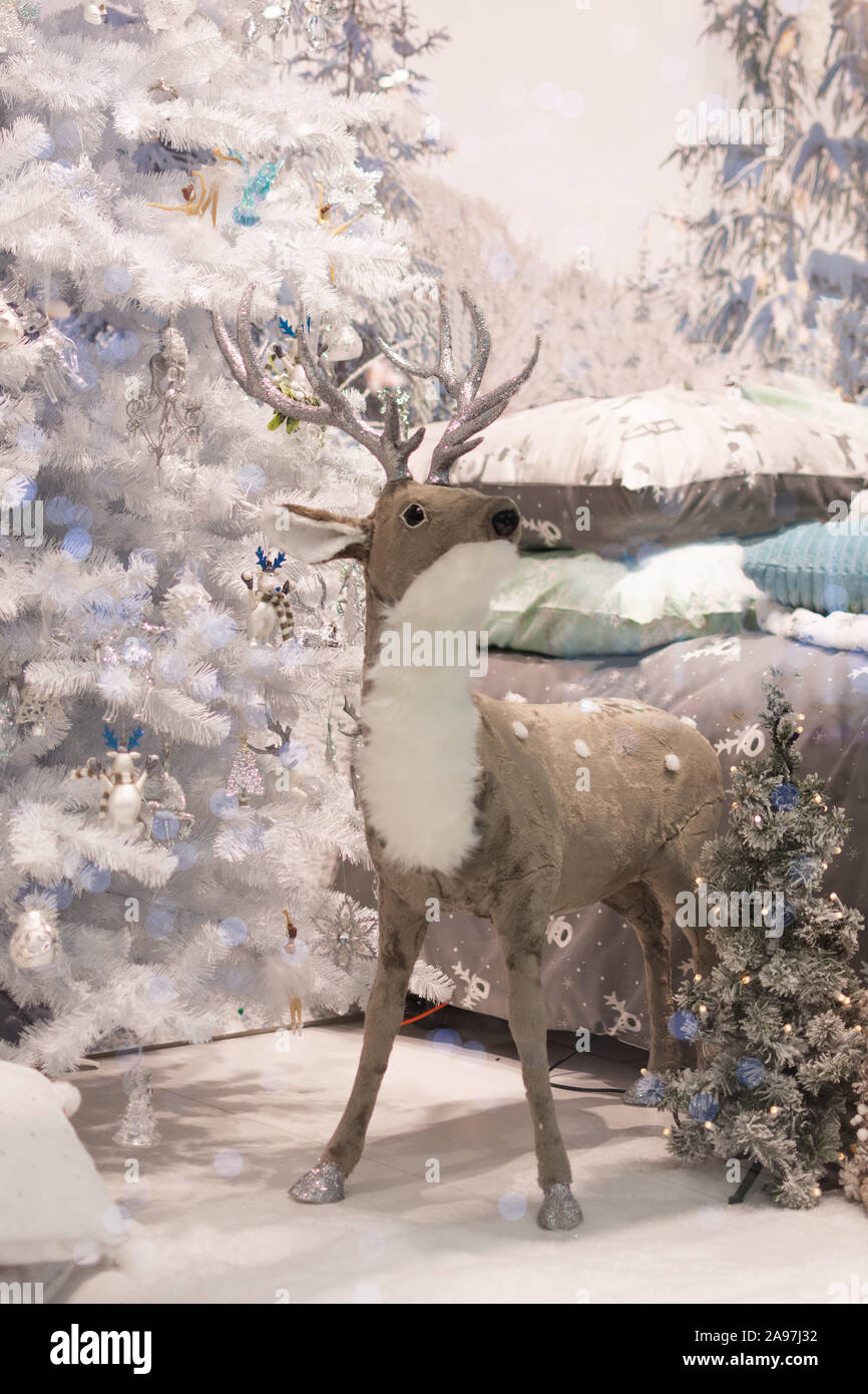 Fluffy deer hi-res stock photography and images - Alamy