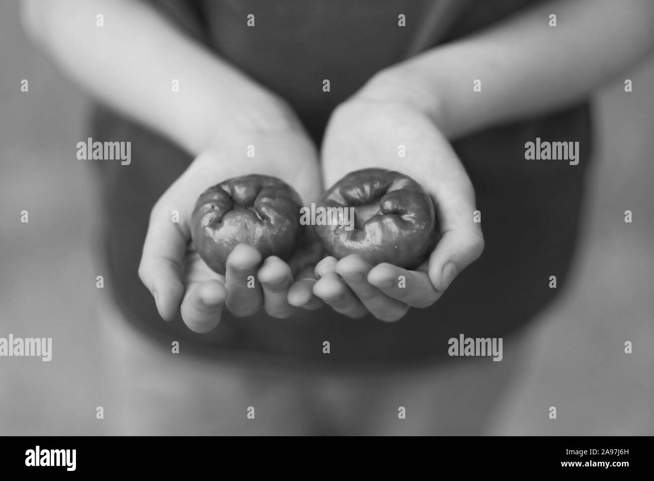 Chompu Black and White Stock Photos & Images - Alamy