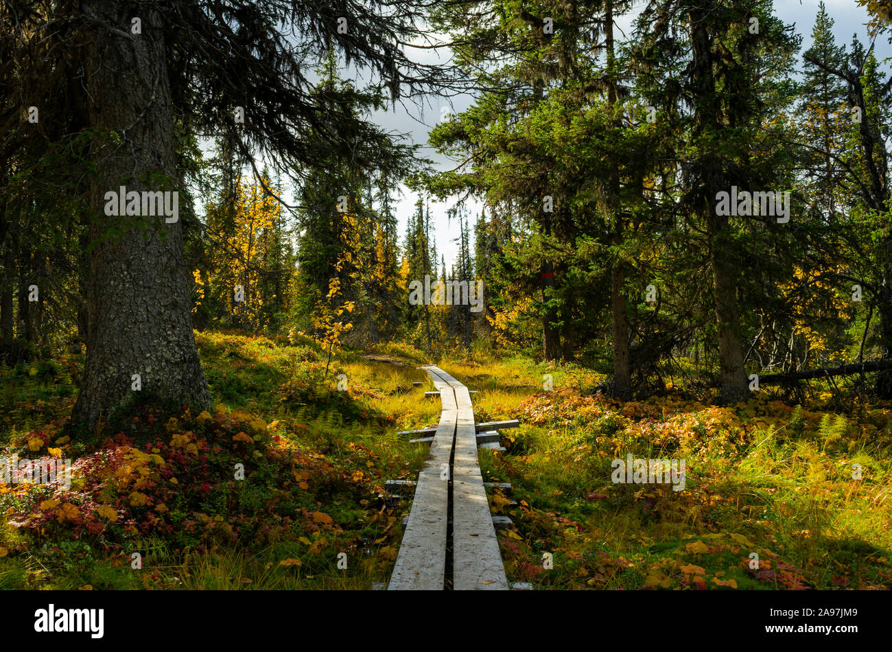 Lapland landscape hiking path in hi-res stock photography and images ...