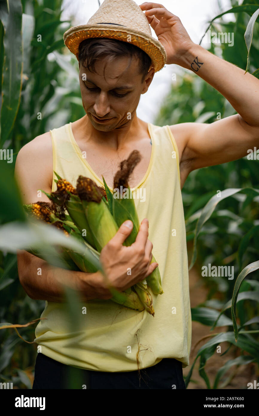 man in a hat in a corn field. man picks up corn Stock Photo - Alamy