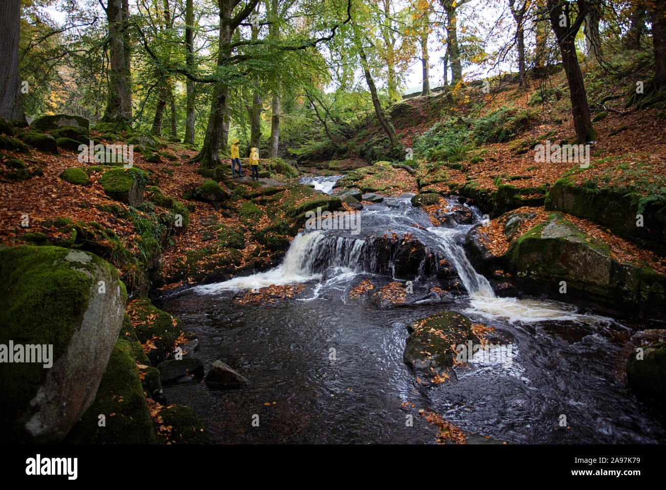 Mother and son in yellow jacket standing by the river in autumn forest ...