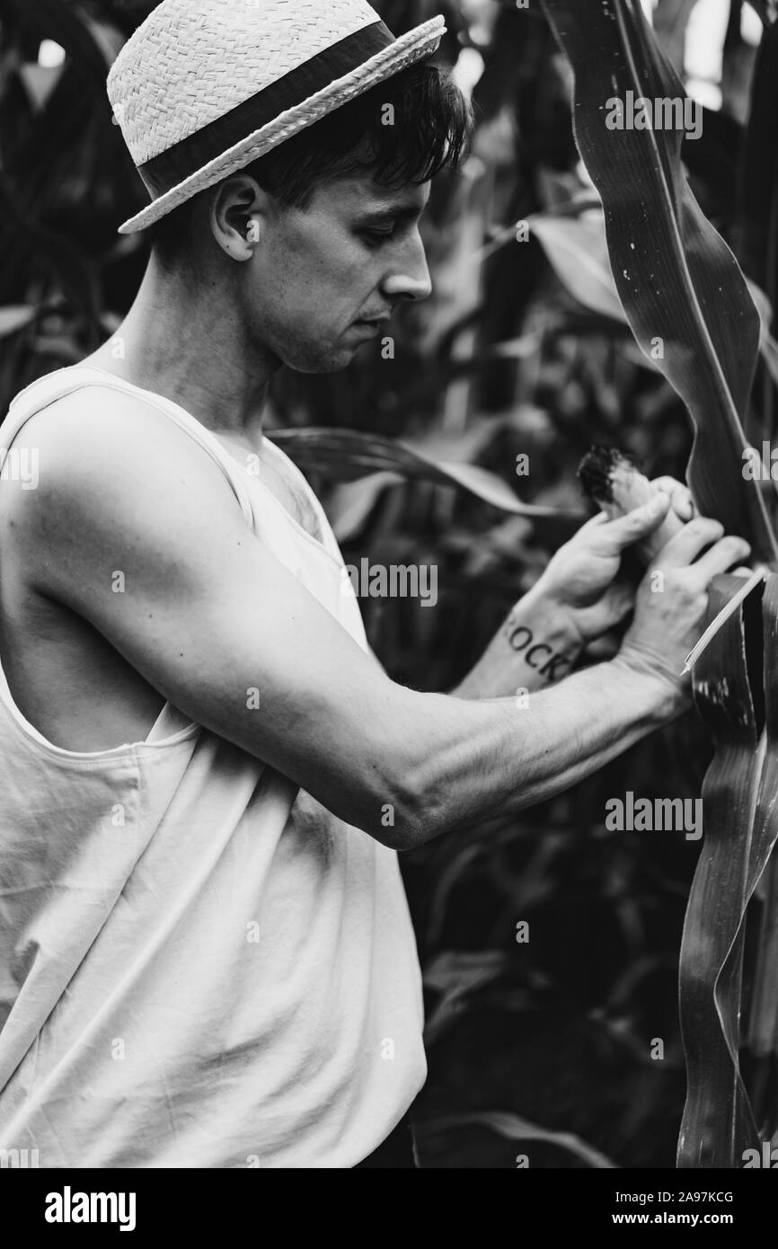 Field agronomy Black and White Stock Photos & Images - Alamy